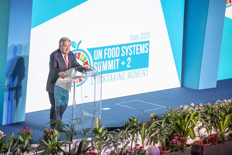 Unfss 2 Stocktaking Un Food Systems Coordination Hub