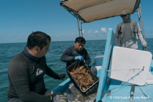 Latin America and the Caribbean Regional Preparatory Meeting of the ...