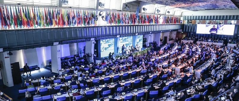 Home | UN Food Systems Coordination Hub