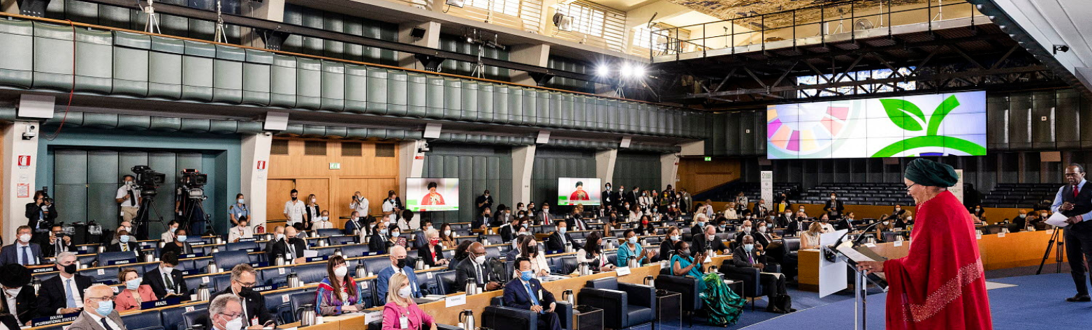 UNFSS +2 Stocktaking | UN Food Systems Coordination Hub