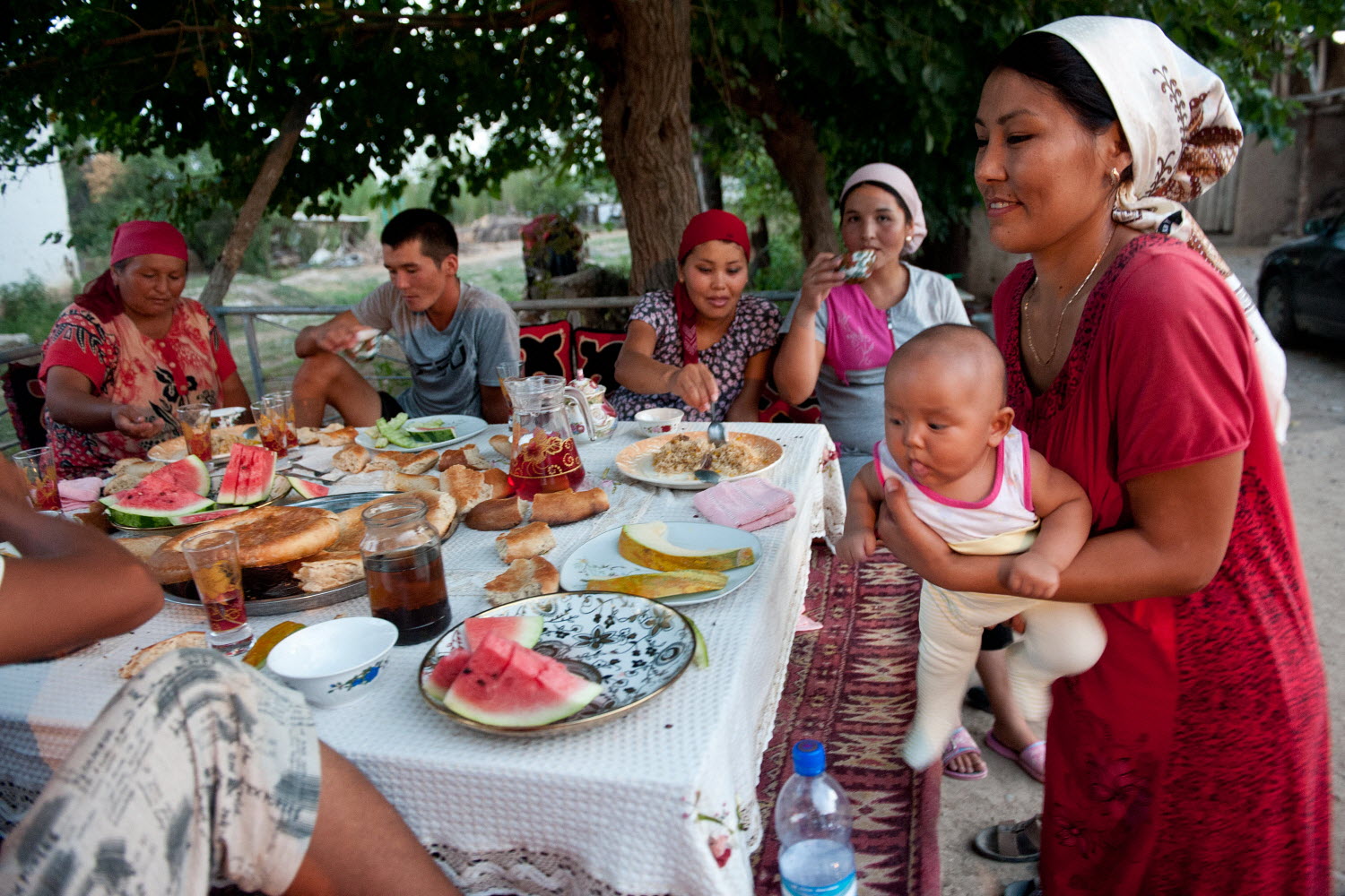 Food Systems Solutions Webinars