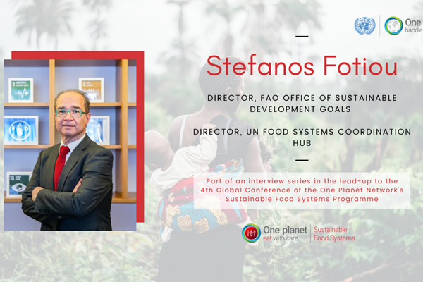 News | UN Food Systems Coordination Hub