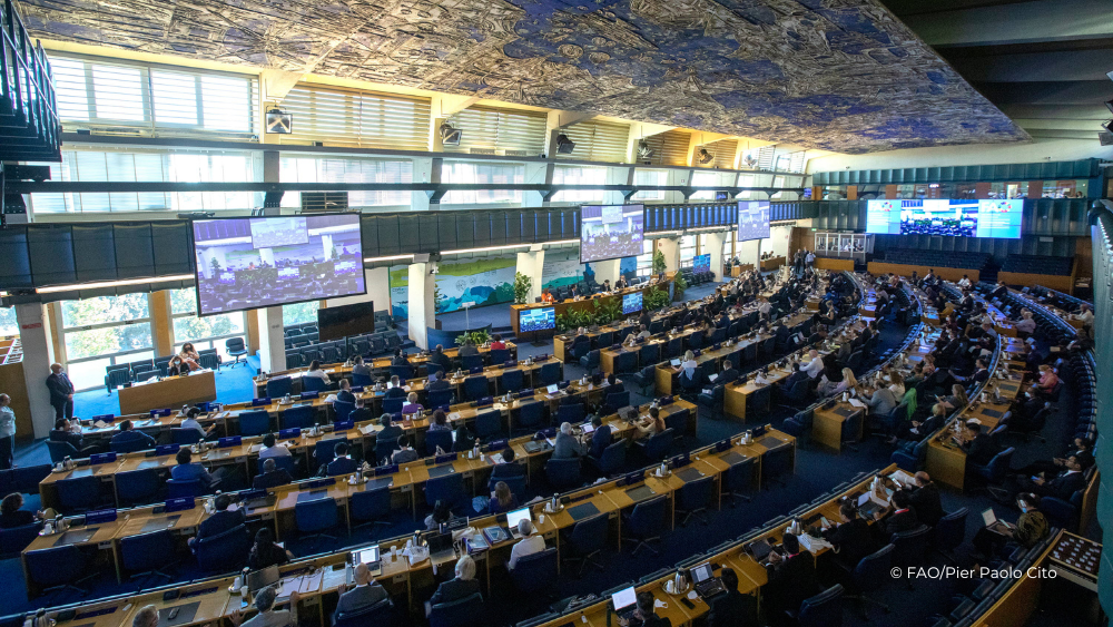 Overview and Updates | UN Food Systems Coordination Hub