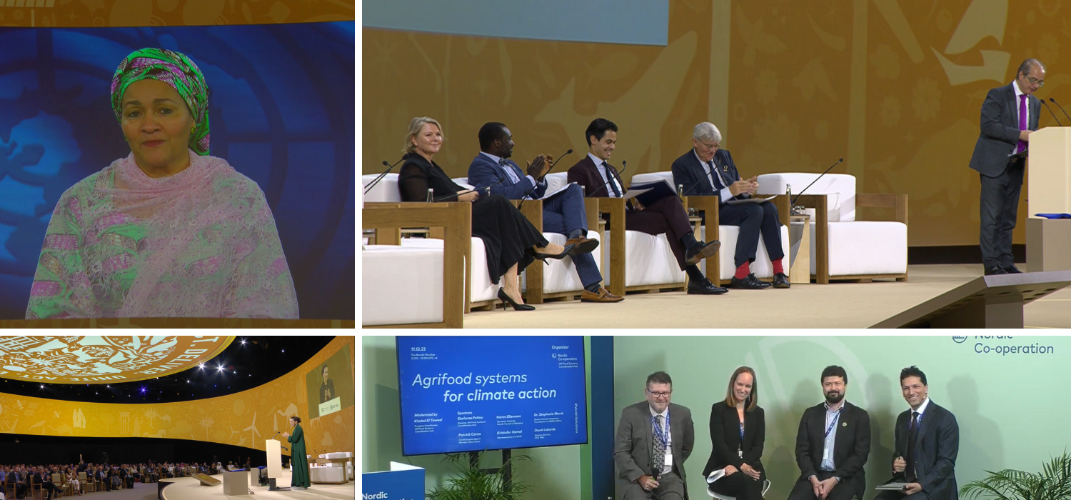 News detail | UN Food Systems Coordination Hub