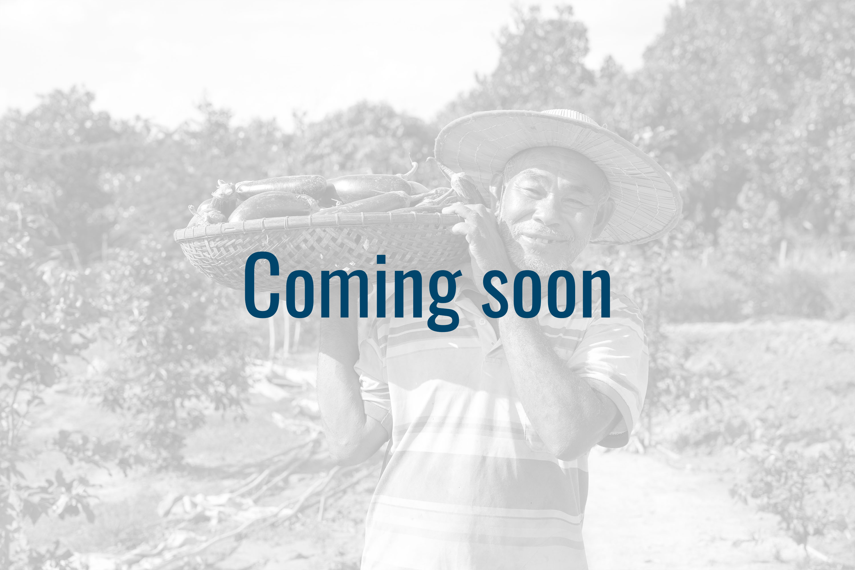 Home | UN Food Systems Coordination Hub