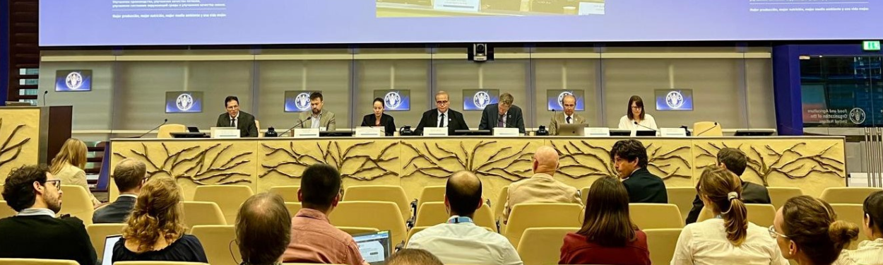 News detail | UN Food Systems Coordination Hub