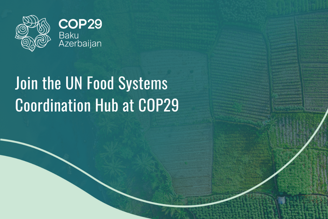 Home | UN Food Systems Coordination Hub