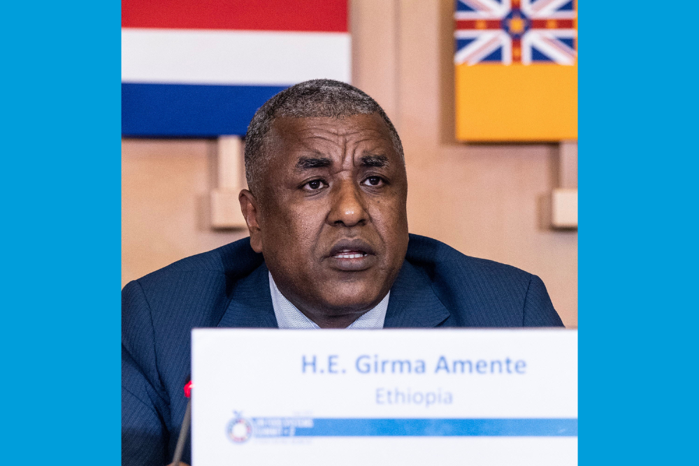 Food Systems for Prosperity- inclusive growth through agrifood systems